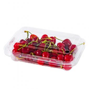 300g Strawberry Plastic Container Fruit Berry Clamshell Packaging ...