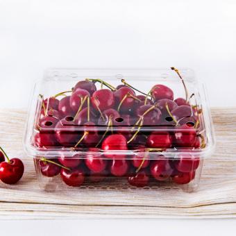 Disposable 500g PET Strawberry Plastic Container Fruits Packaging ...