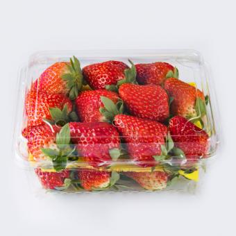 Disposable 750g Plastic Fruit Vegetable Container Clamshell Clear ...
